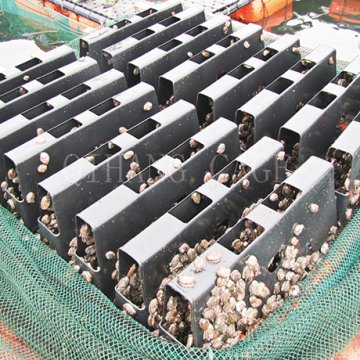 Abalone Cage