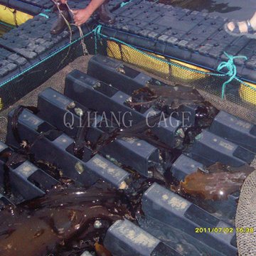 Abalone Cage