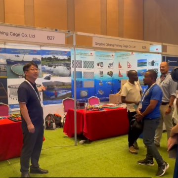 Qihang Innovation Setting Sail for Africa: Mr. Xu Leads the Team to the ...